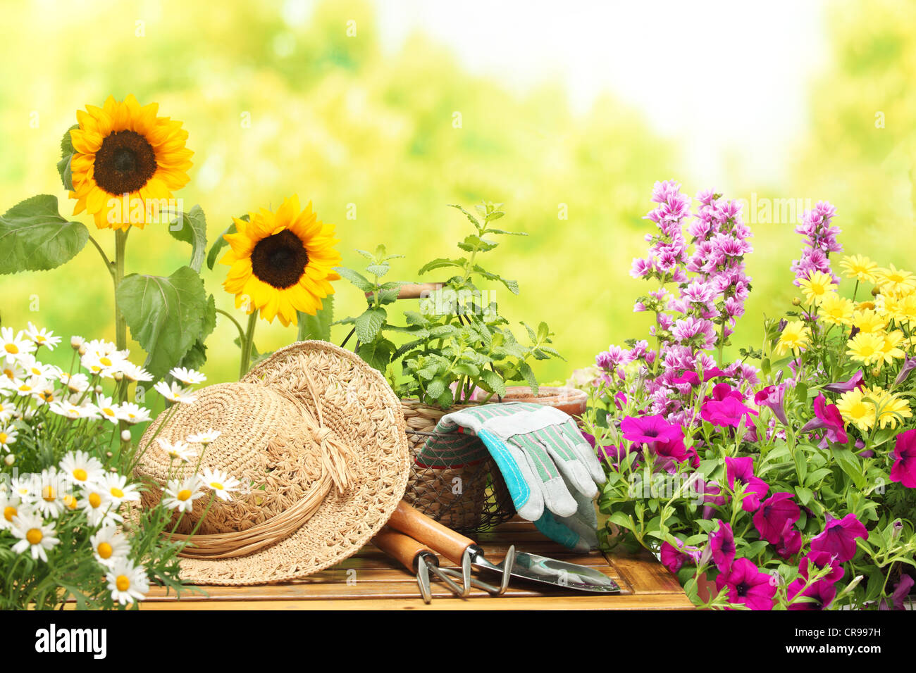 Outdoor gardening tools and flowers Stock Photo - Alamy
