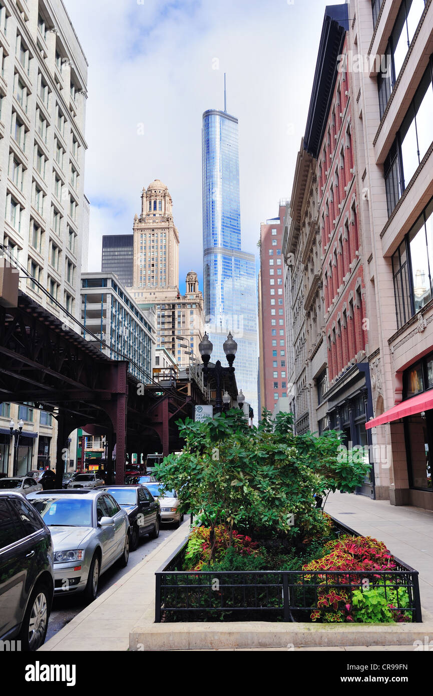 Downtown Building Street View