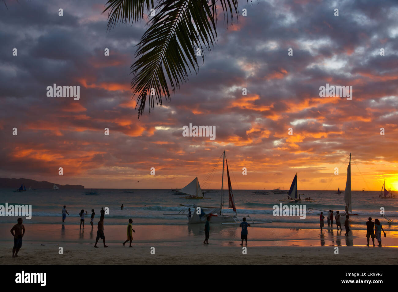 Beach with palm trees at sunset, Boracay Island, Aklan Province ...