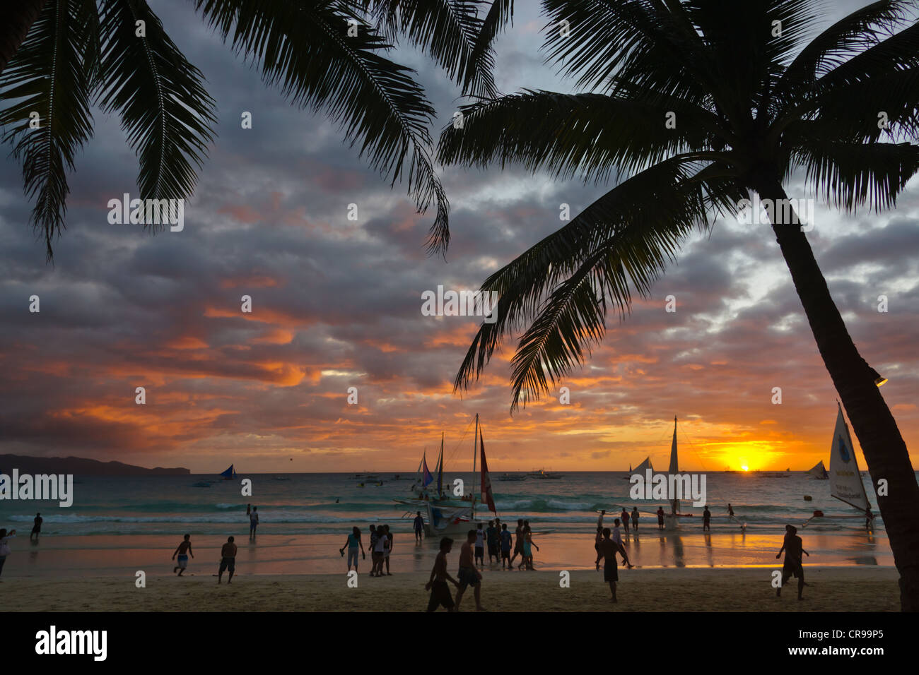Beach with palm trees at sunset, Boracay Island, Aklan Province ...