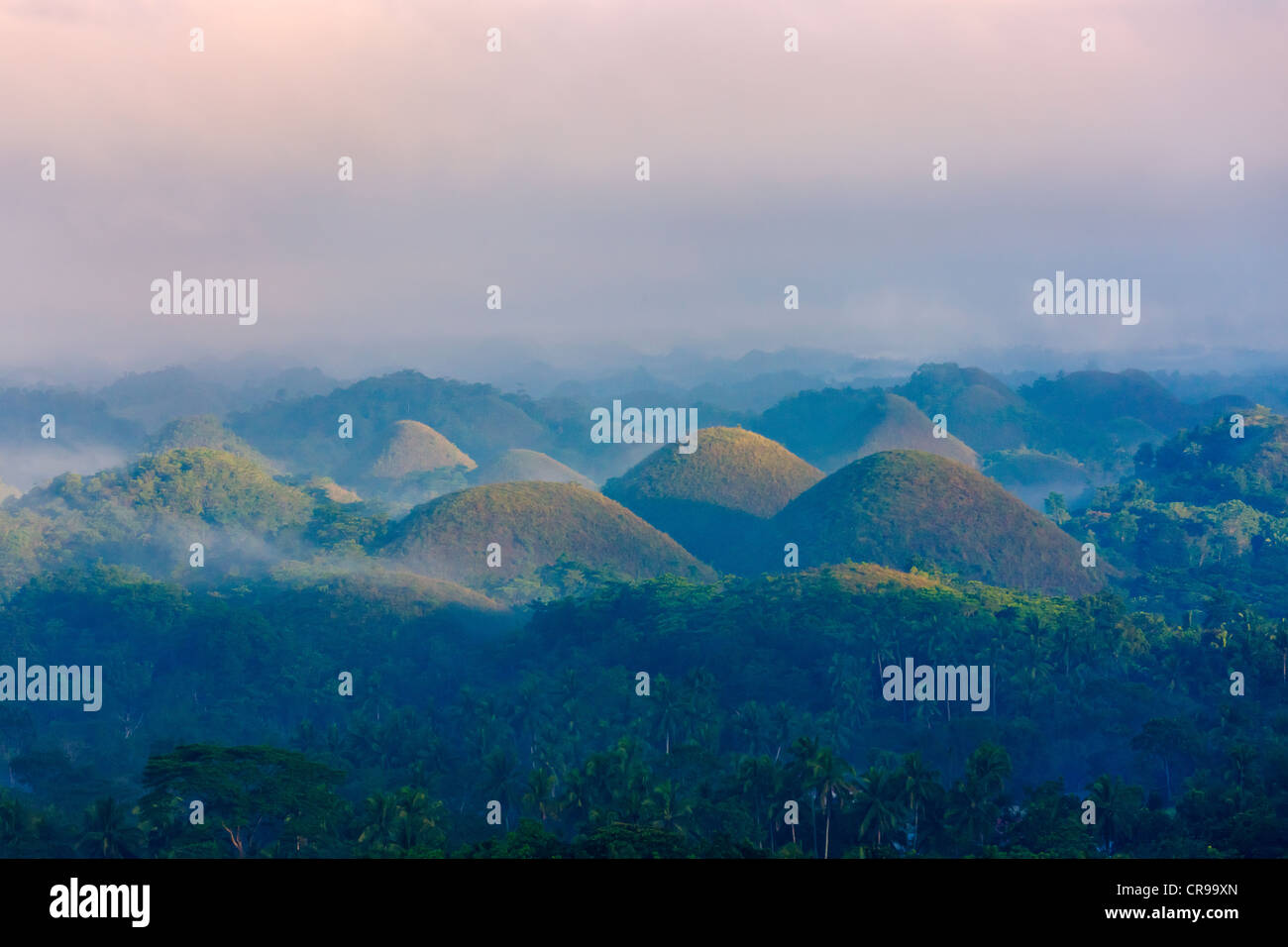Chocolate Hills in morning mist, Bohol Island, Philippines Stock Photo ...
