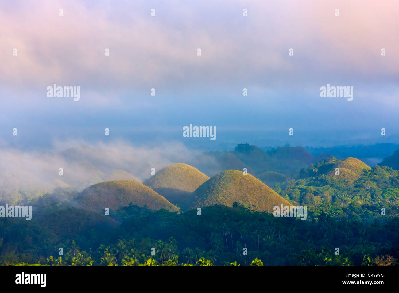 Chocolate Hills in morning mist, Bohol Island, Philippines Stock Photo ...