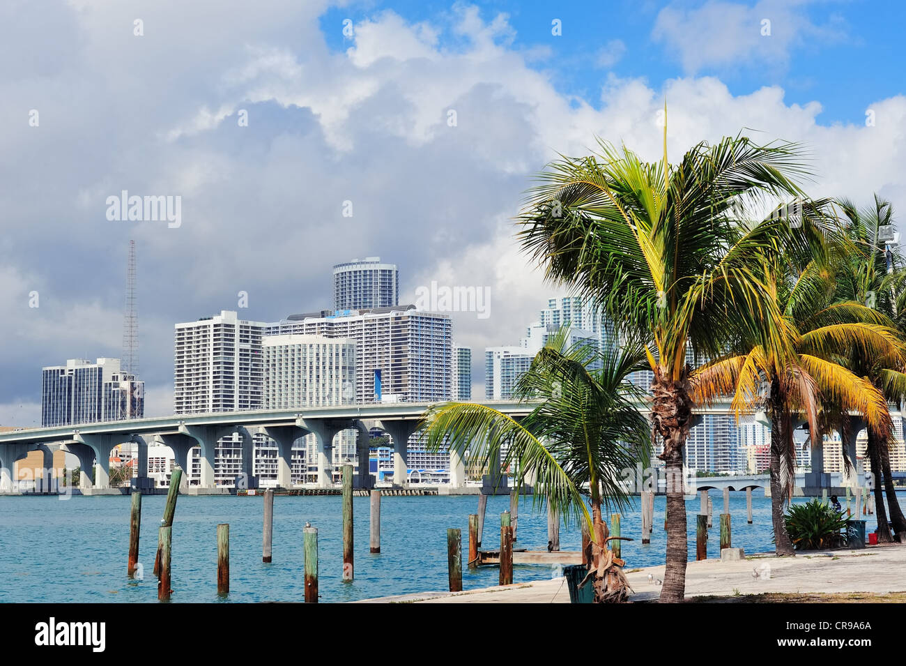Miami city tropical view over sea from dock in the day with blue sky ...
