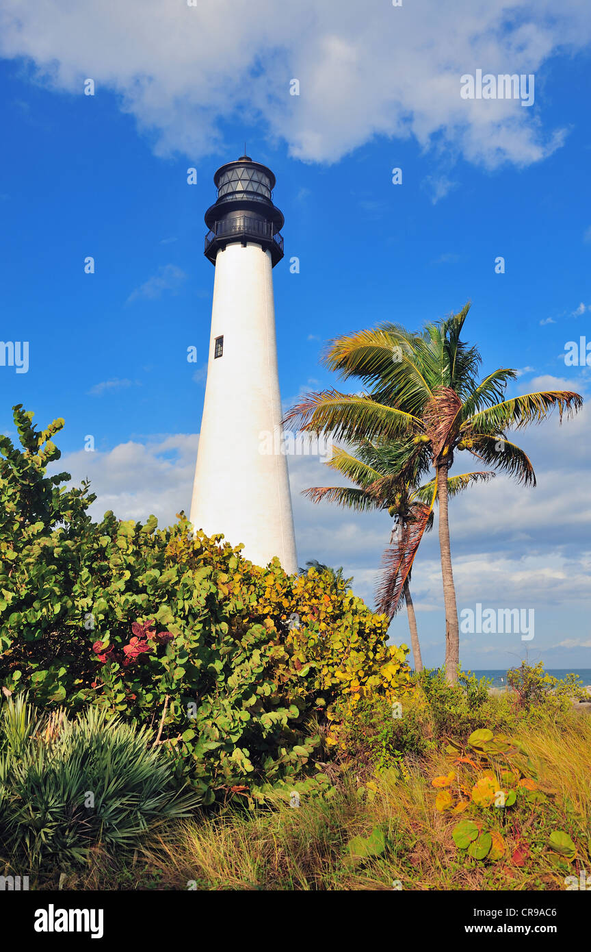 Cape Florida Light lighthouse with Atlantic Ocean and palm tree at ...