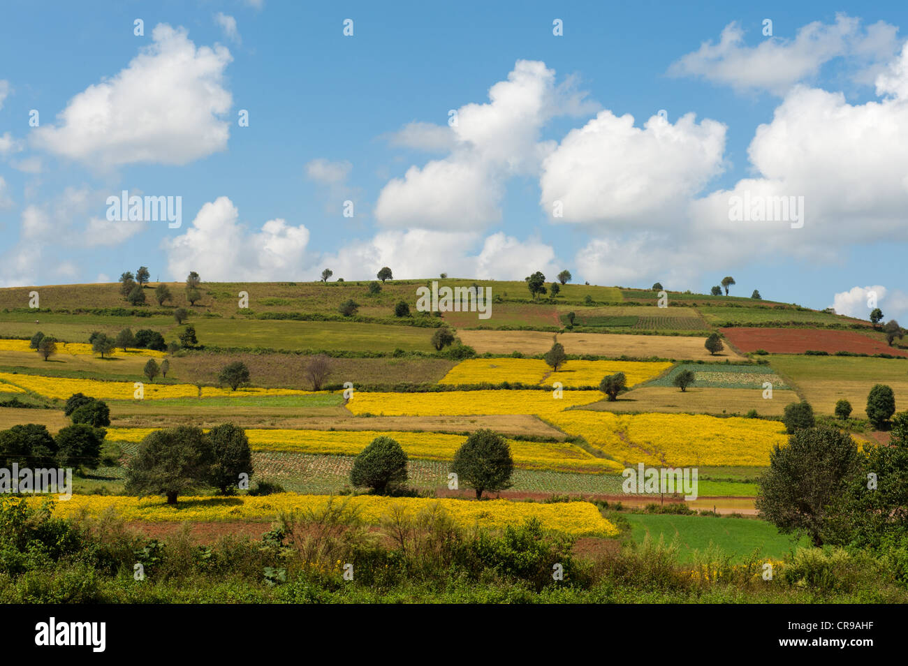 Patchwork field fields hi-res stock photography and images - Alamy