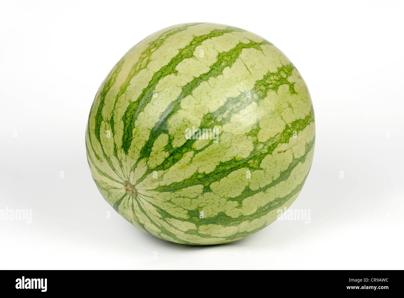 One watermelon on white background Stock Photo - Alamy