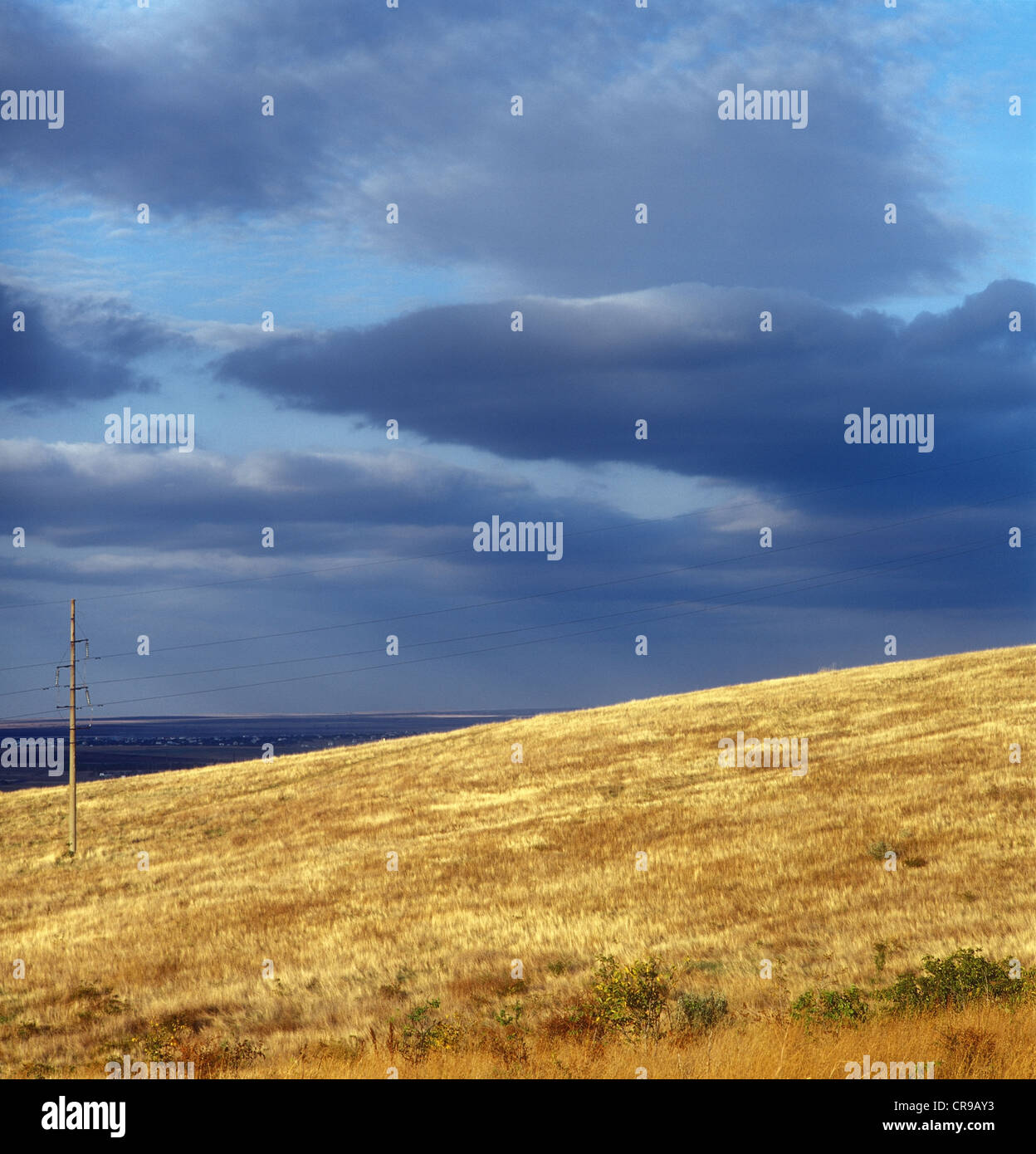 Blue and yellow Stock Photo - Alamy