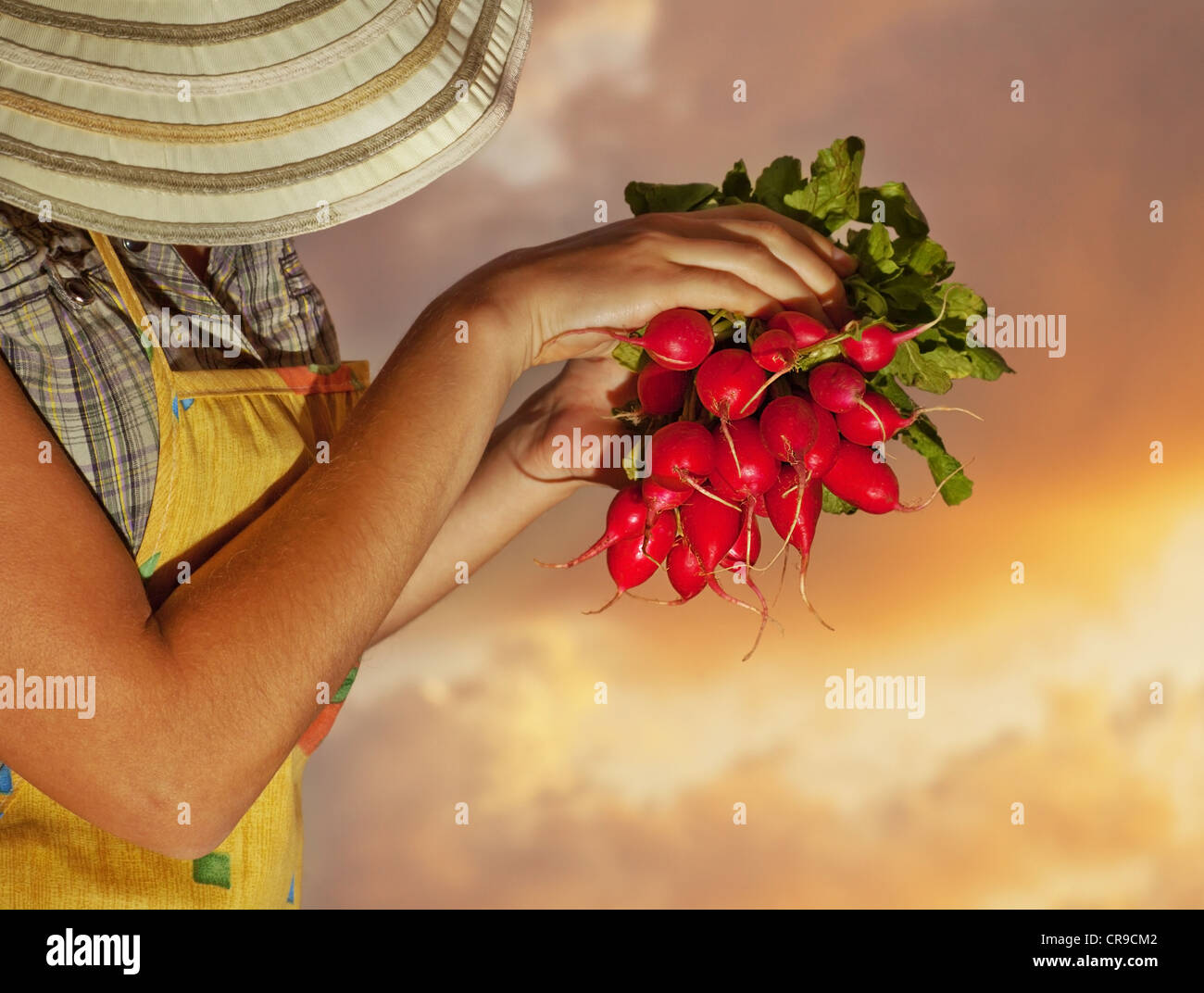 Old woman gardener, senior lady growing organic green vegetables and ...