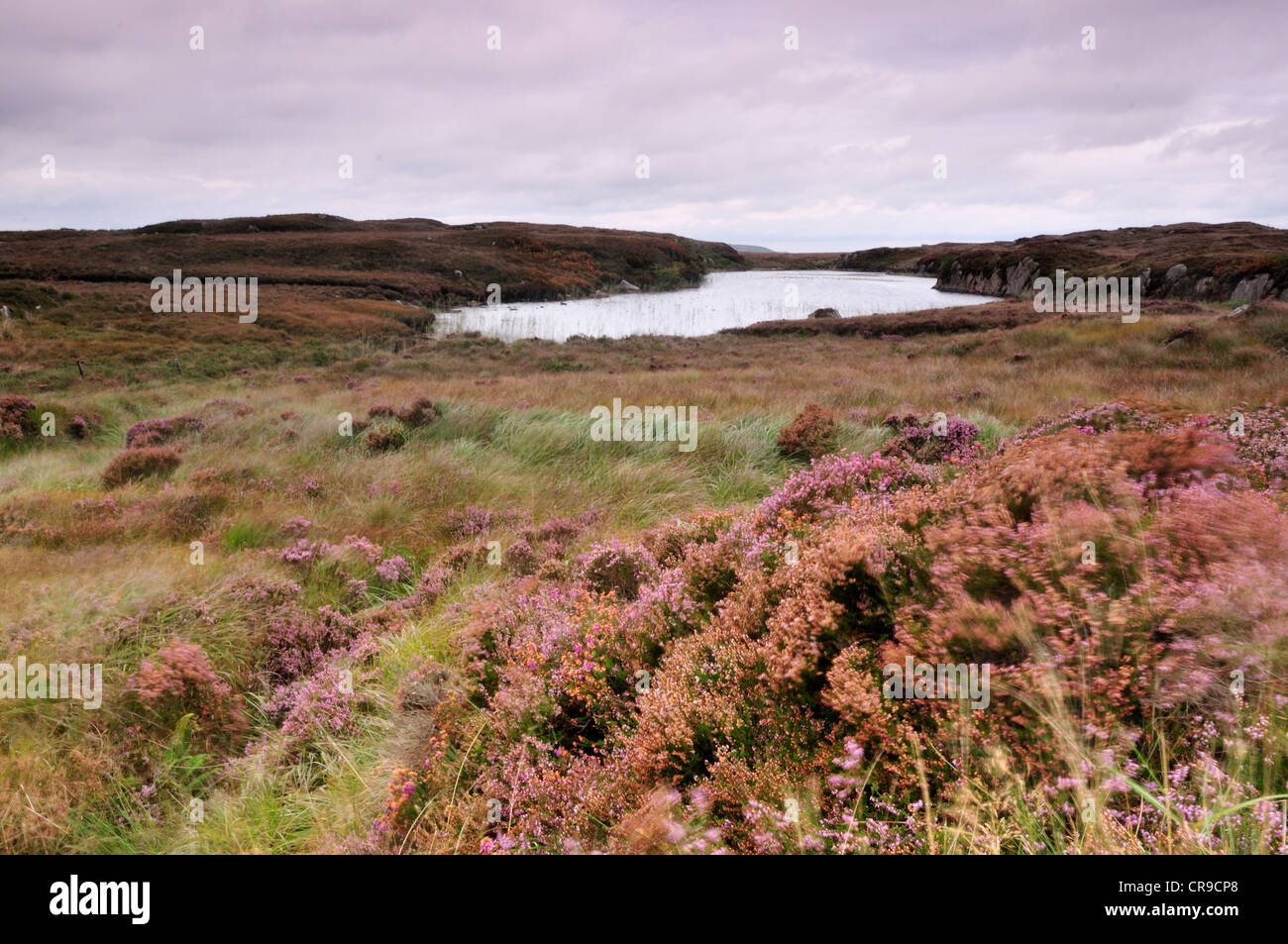 Donegal lake hi-res stock photography and images - Alamy