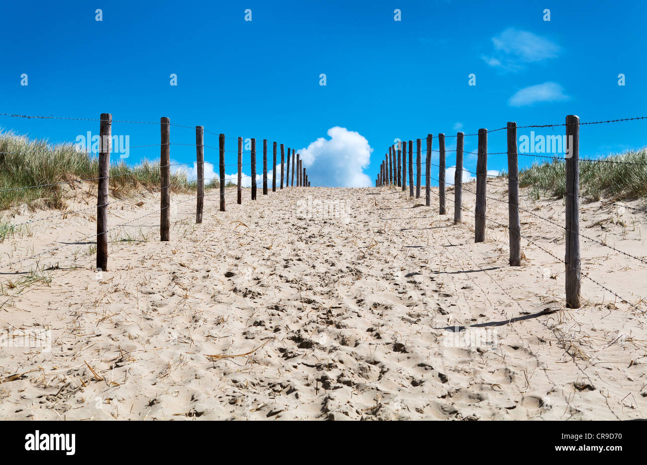 sandy path to the blue sky Stock Photo - Alamy