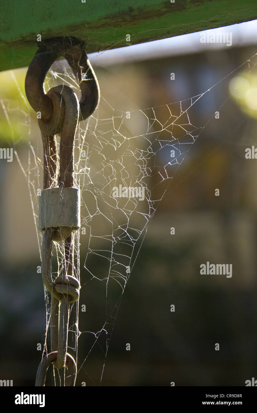 spiders web on a children's swing Stock Photo - Alamy
