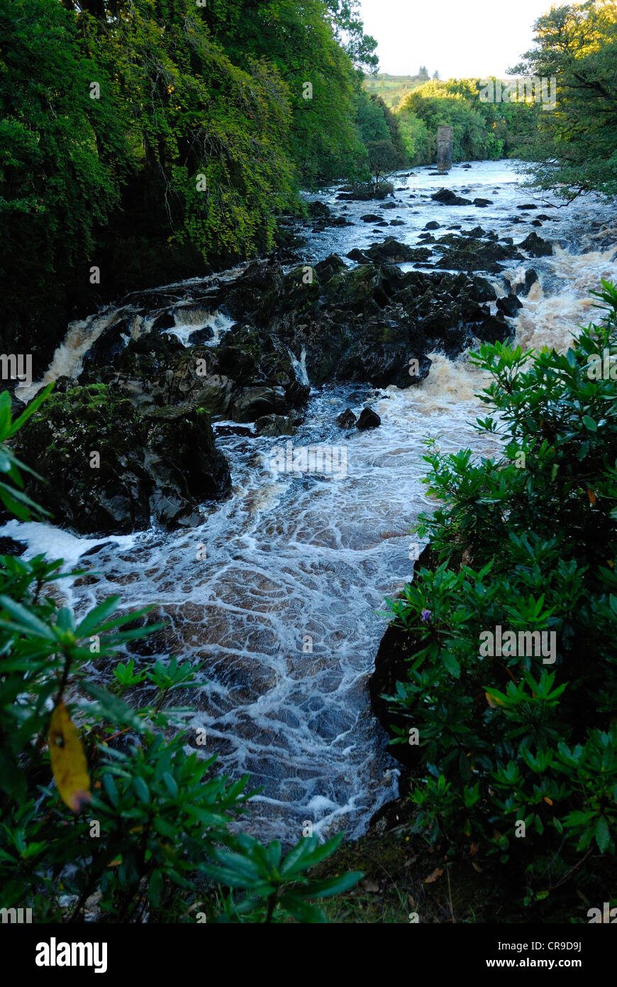 River Finn, Ballybofey, Donegal, Ireland, Europe Stock Photo - Alamy