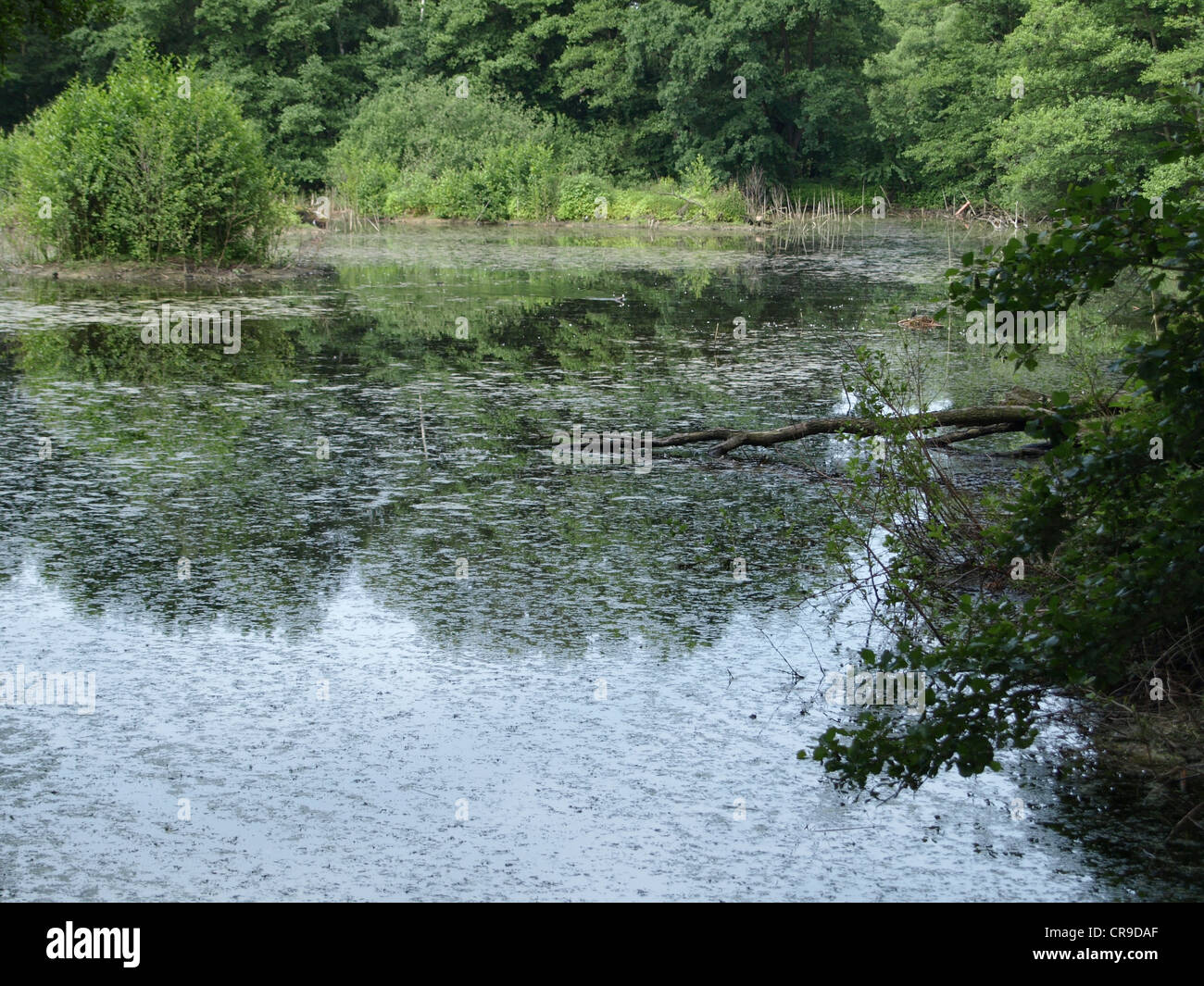 lake with island / See mit Insel Stock Photo - Alamy
