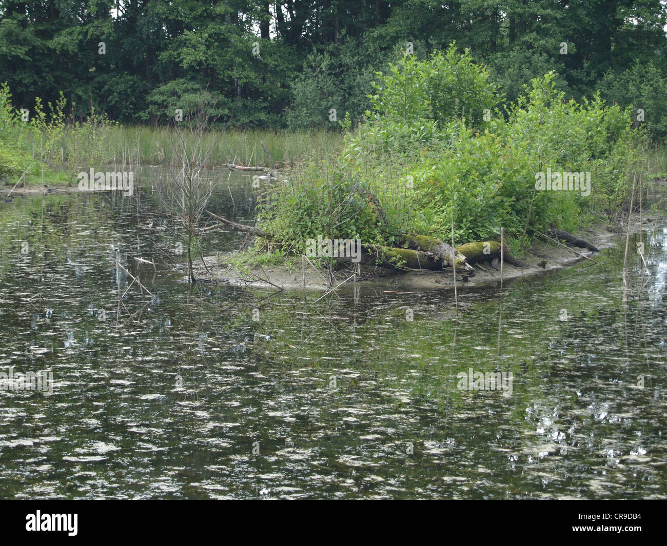 lake with island / See mit Insel Stock Photo - Alamy