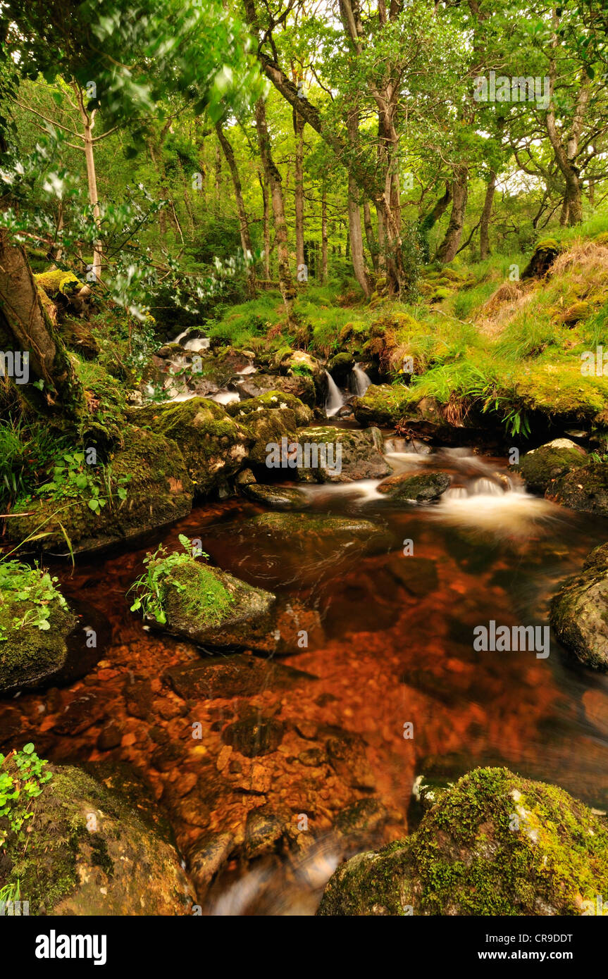 A small river in the Glenveagh National Park, Donegal, Ireland, Europe ...