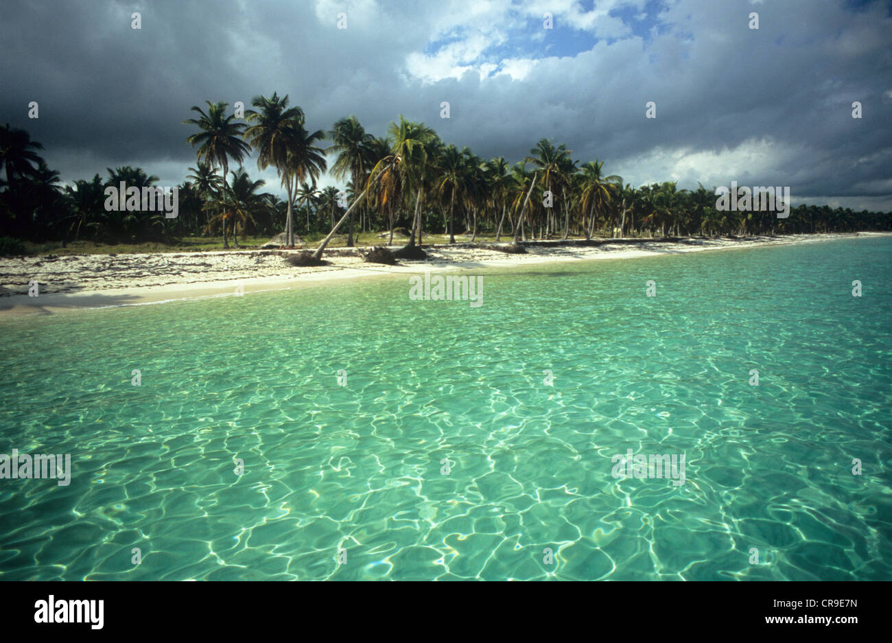 Dominican Republic, the beach on Sanoa Island with palm trees Stock ...