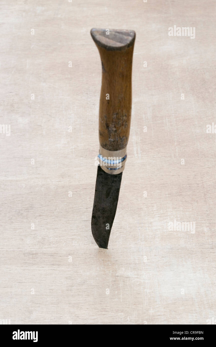 Sticked in hi-res stock photography and images - Alamy