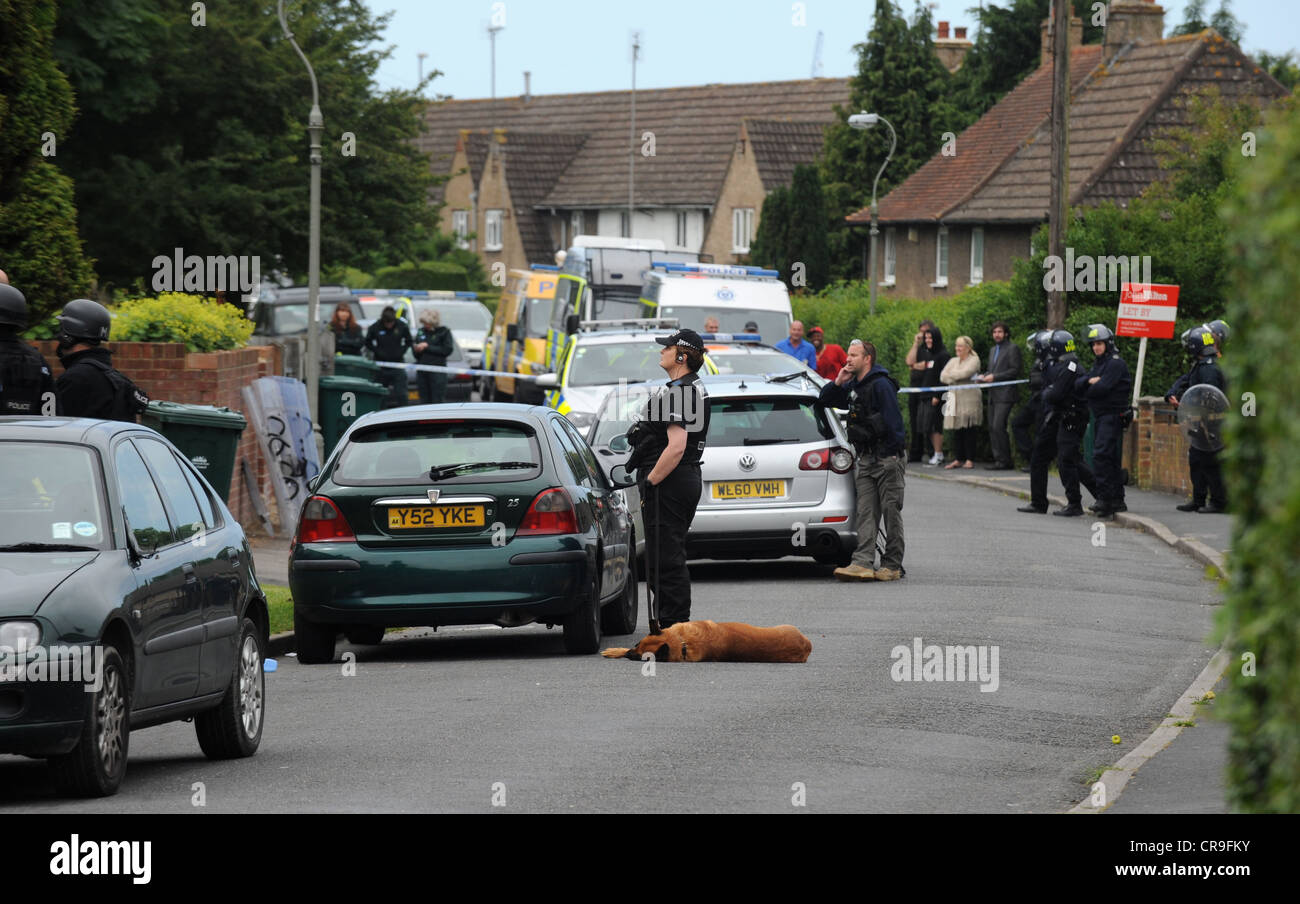 Police some of them armed surround a house in Colbourne Avenue Brighton ...