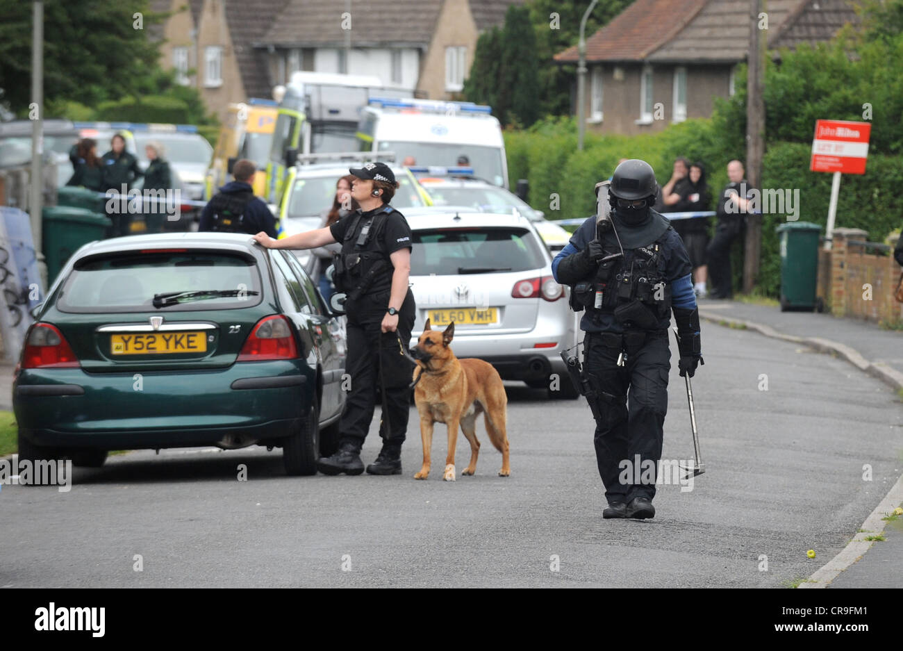 Police some of them armed surround a house in Colbourne Avenue Brighton ...