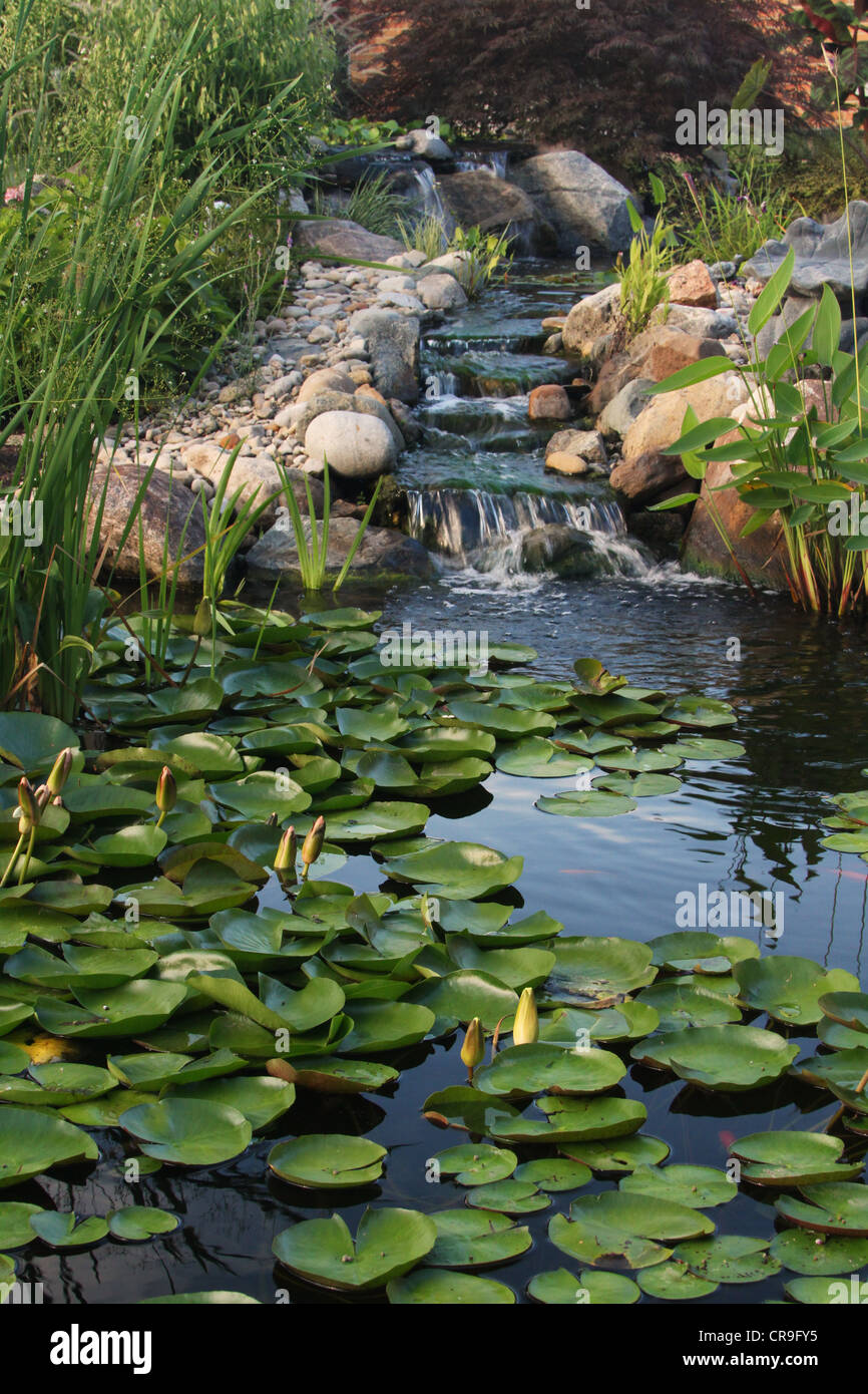 Waterfall and Lily Pond Stock Photo - Alamy