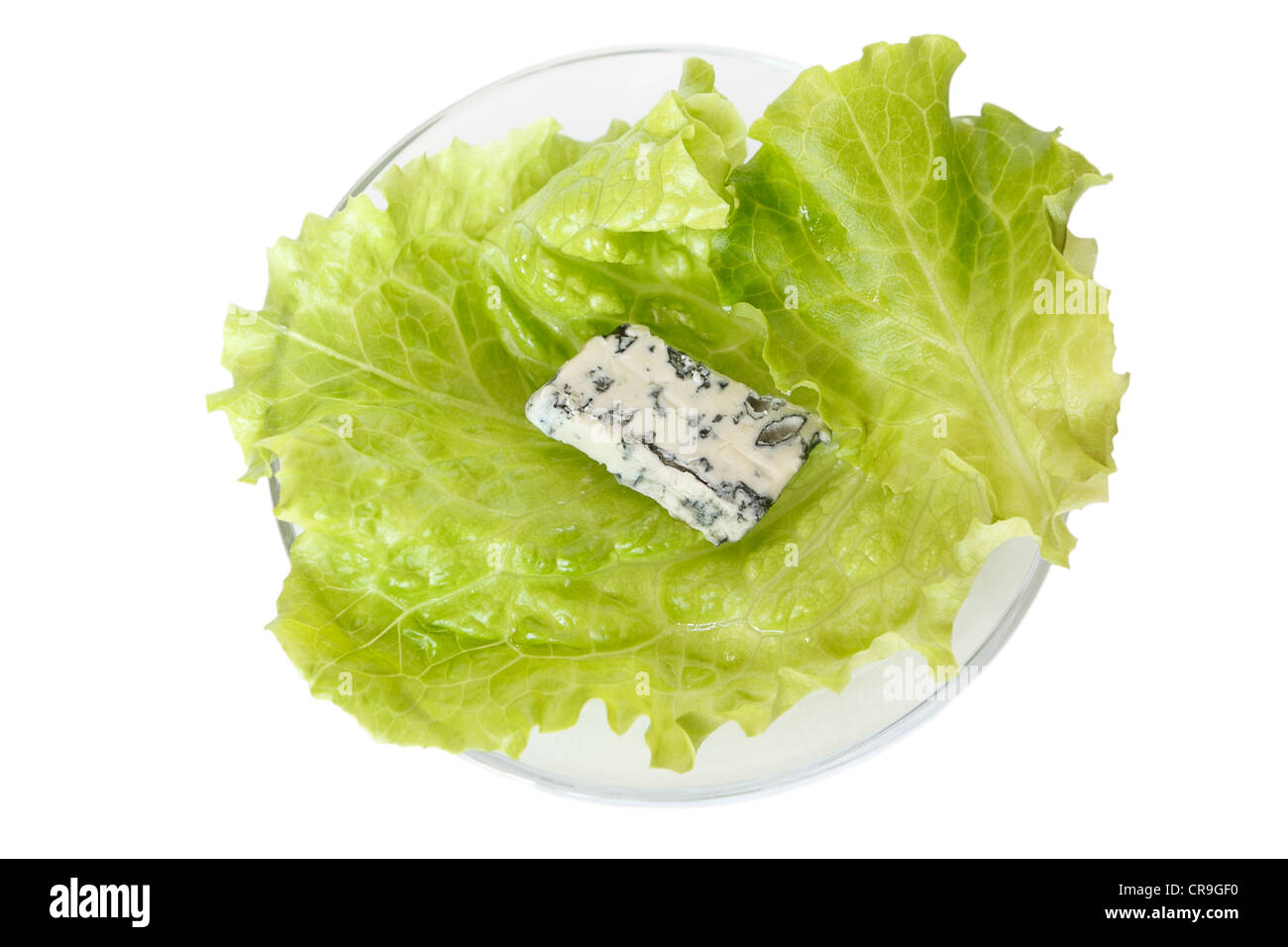 A morsel of blue cheese on leaf of lettuce isolated on white background ...