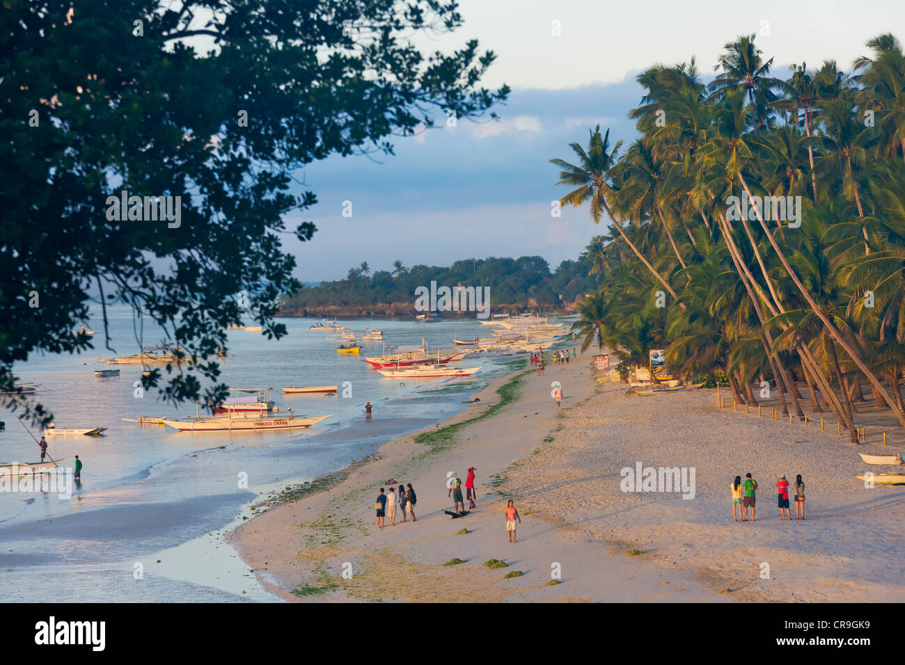 Beach, Bohol Island, Philippines Stock Photo - Alamy