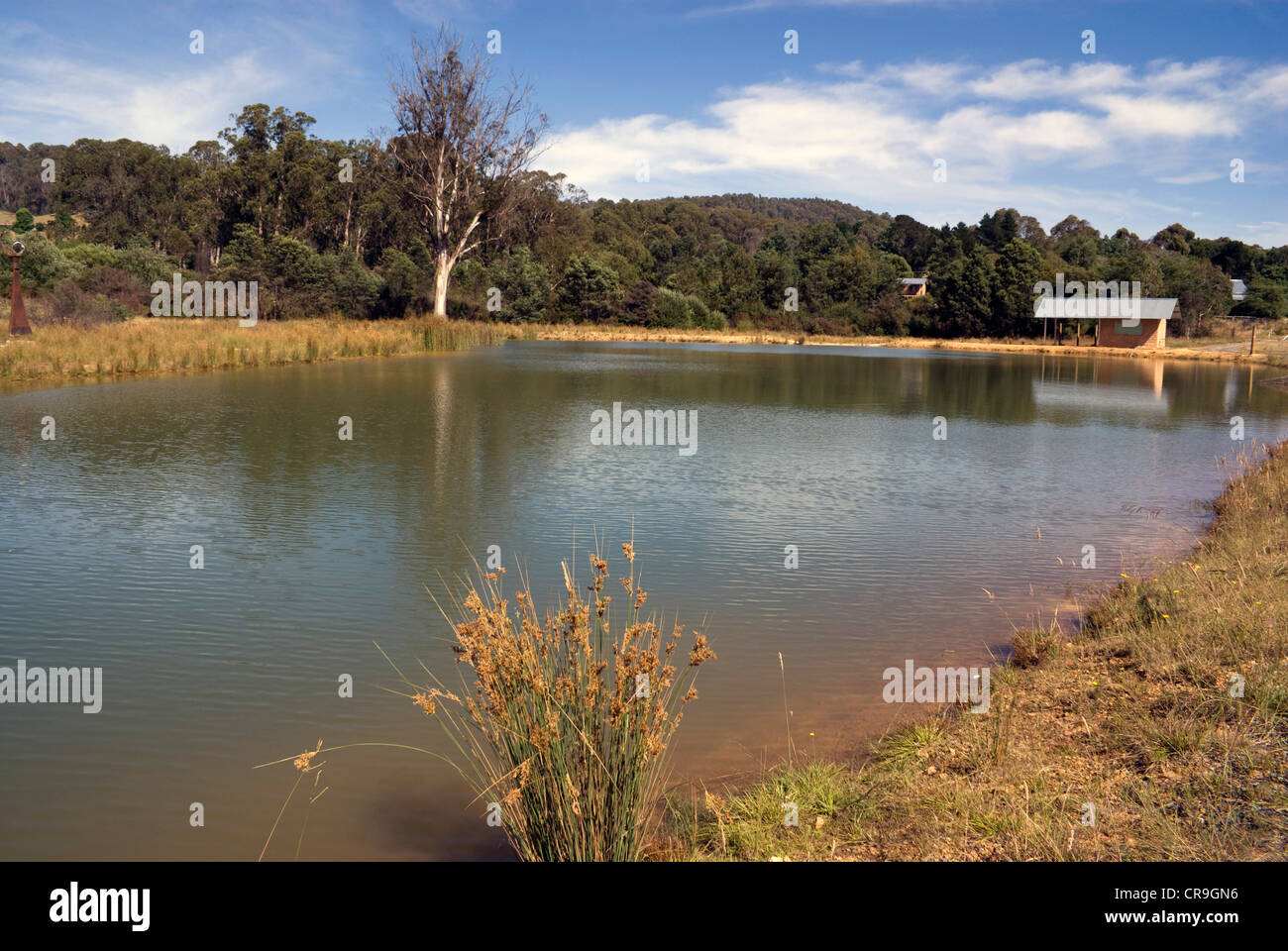 Lake at Stanley, Victoria, Australia Stock Photo - Alamy