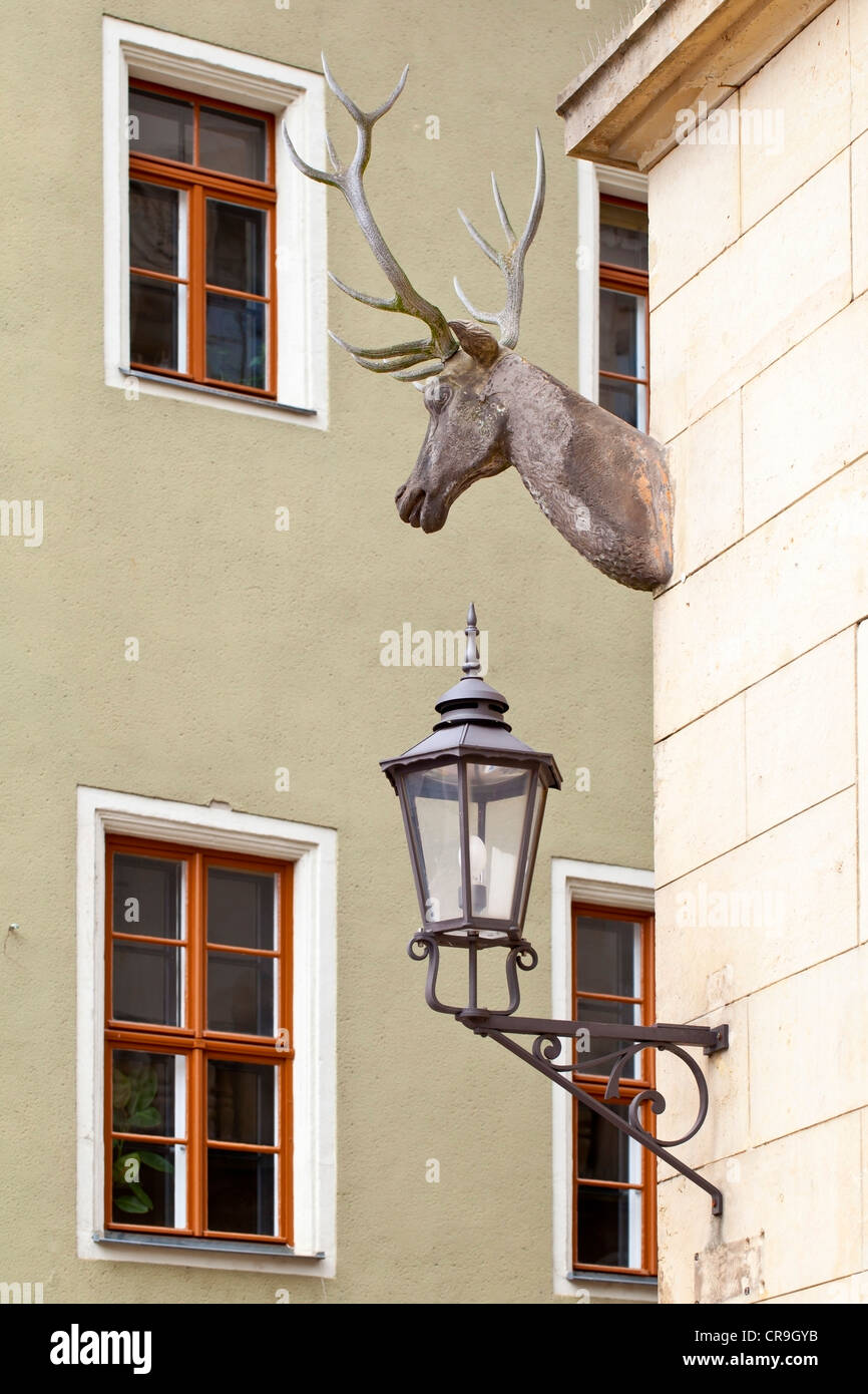 Deer head at the "Hirsch-Haus" (deer house) - Meißen, Saxonia, Germany ...