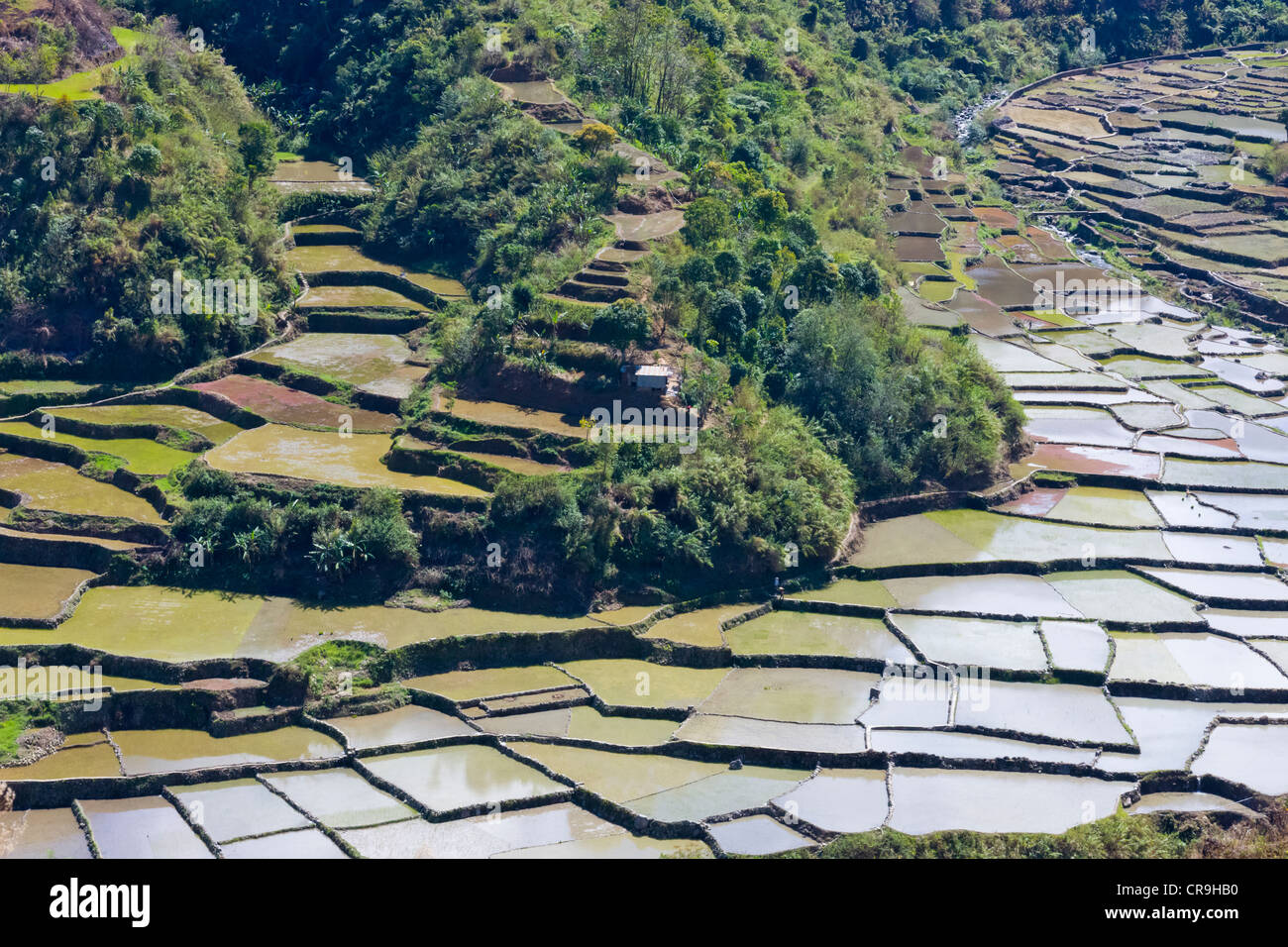 The Rice Terraces of the Philippine Cordilleras, UNESCO World Heritage ...