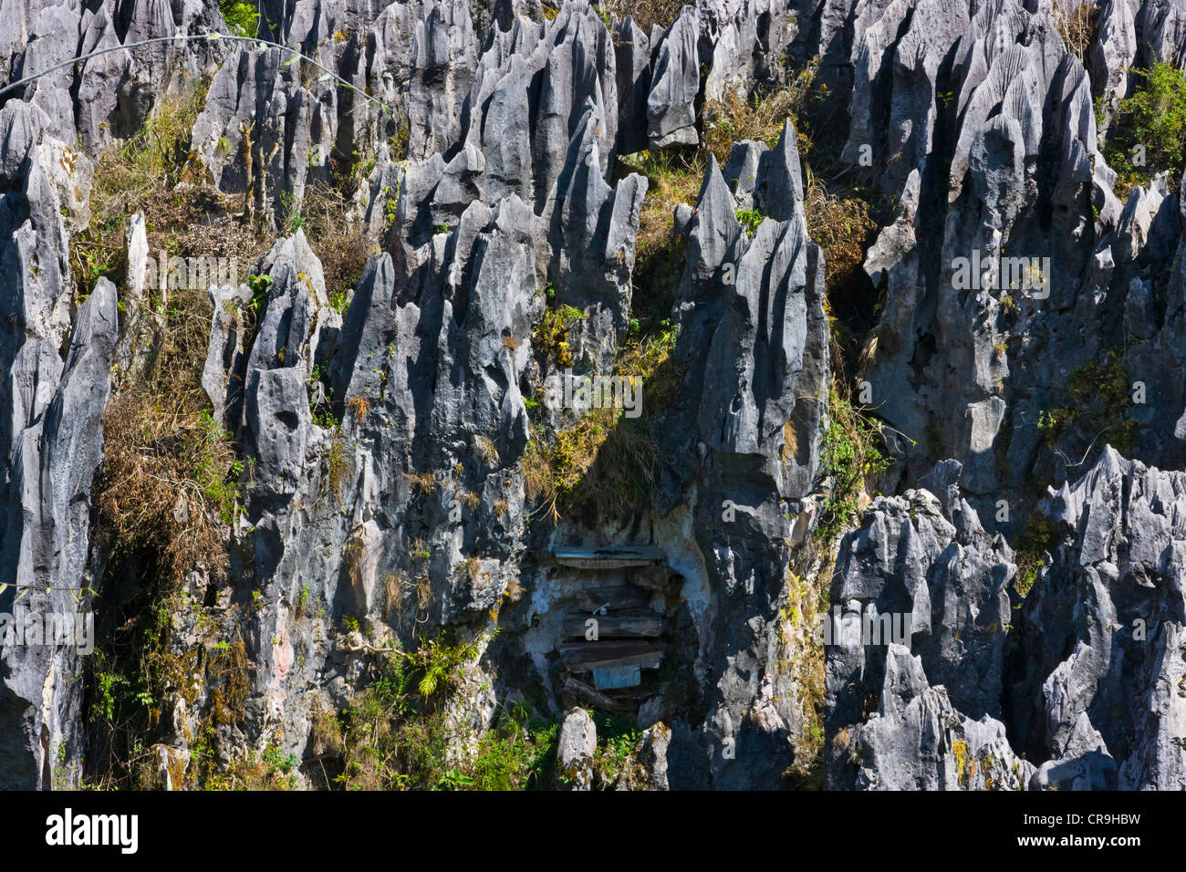 Hanging coffin in the limestone mountain, Sagada, Mountain Province ...