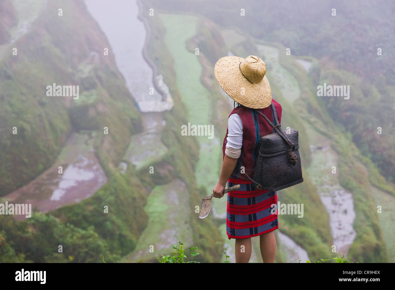 Igorot tribal woman with Rice Terraces of the Philippine Cordilleras ...