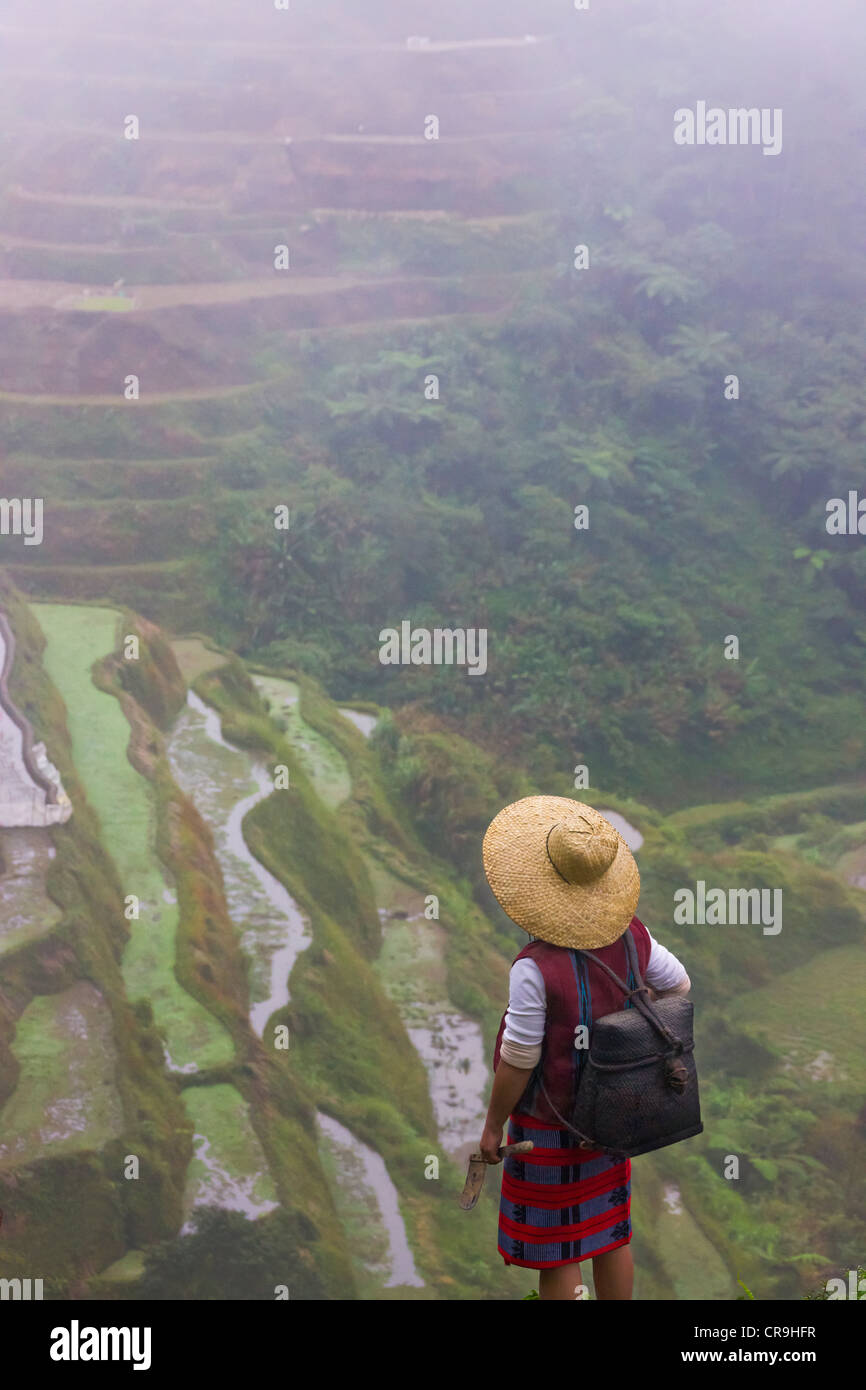 Igorot tribal woman with Rice Terraces of the Philippine Cordilleras ...