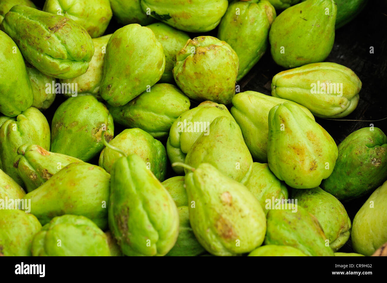 Caricaceae tegallalang market hi-res stock photography and images - Alamy