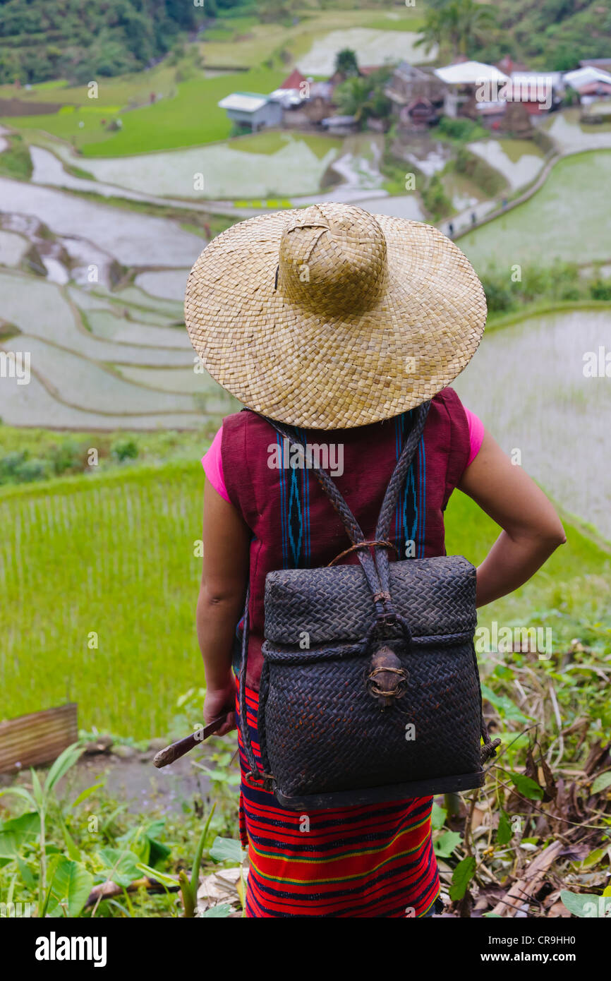 Igorot tribal woman with Rice Terraces of the Philippine Cordilleras ...