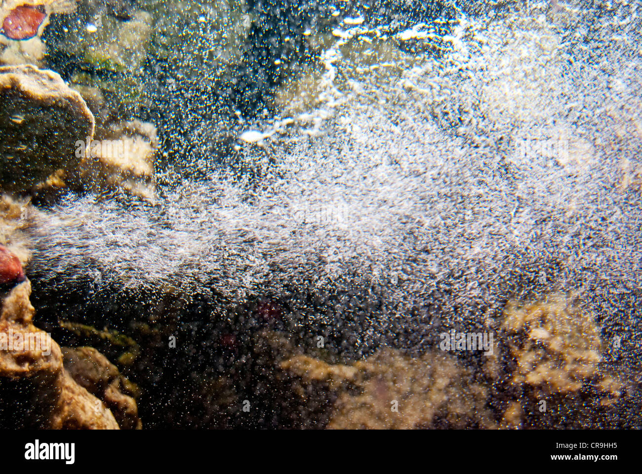 Spray in an aquarium Stock Photo - Alamy