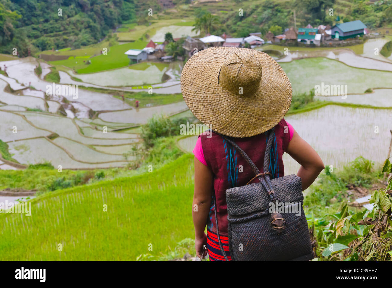 Igorot tribal woman with Rice Terraces of the Philippine Cordilleras ...