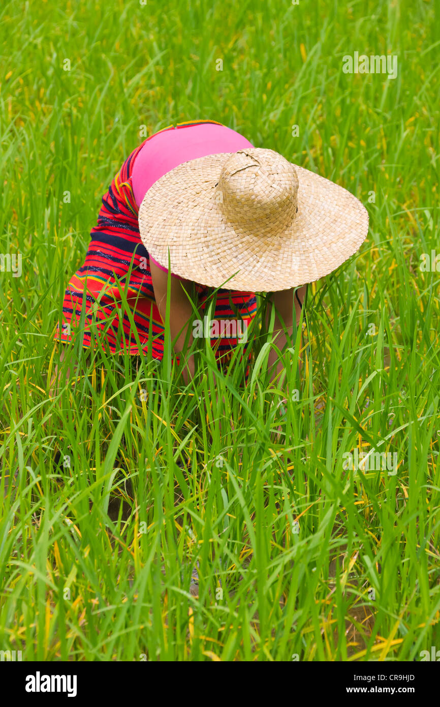 Igorot tribe hi-res stock photography and images - Alamy