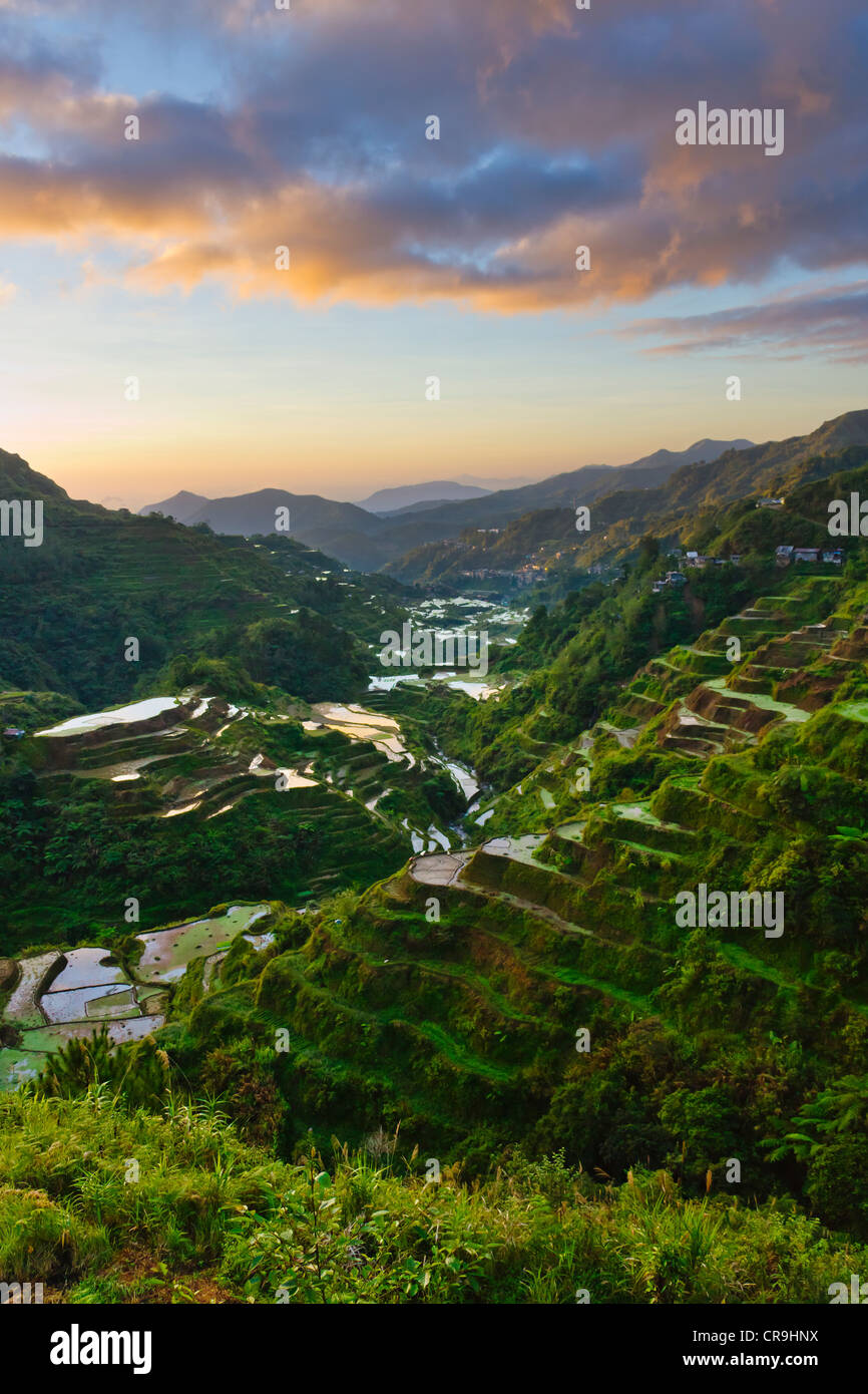The Rice Terraces of the Philippine Cordilleras, UNESCO World Heritage ...