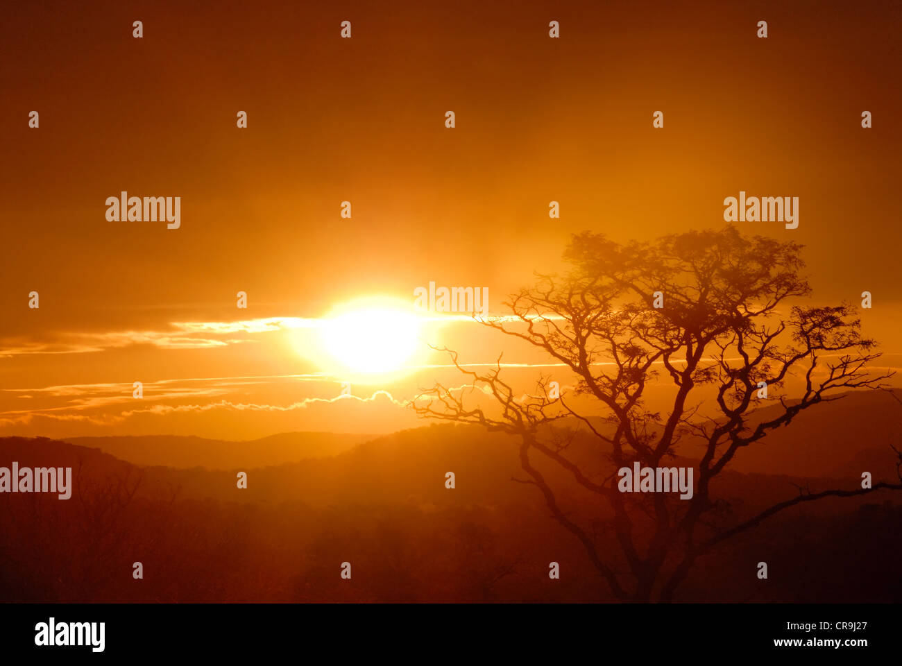 the golden light of an African sunset Stock Photo - Alamy