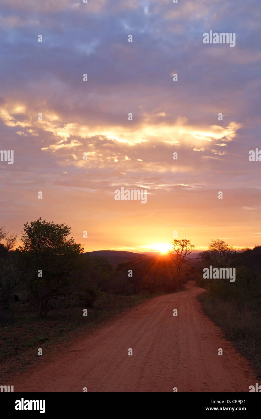 the golden light of an African sunset Stock Photo - Alamy