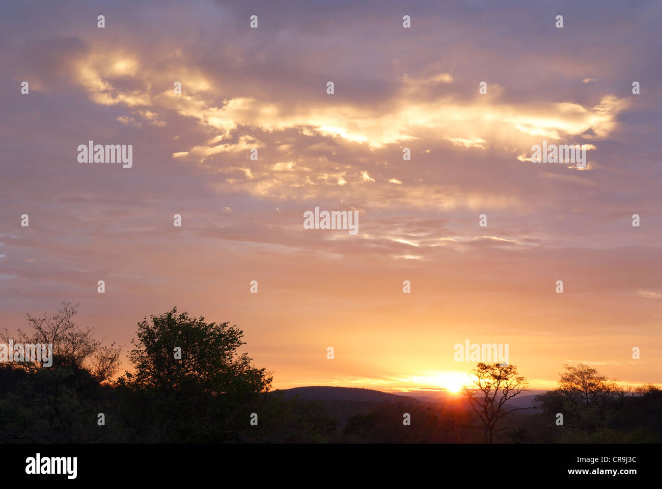 the golden light of an African sunset Stock Photo - Alamy