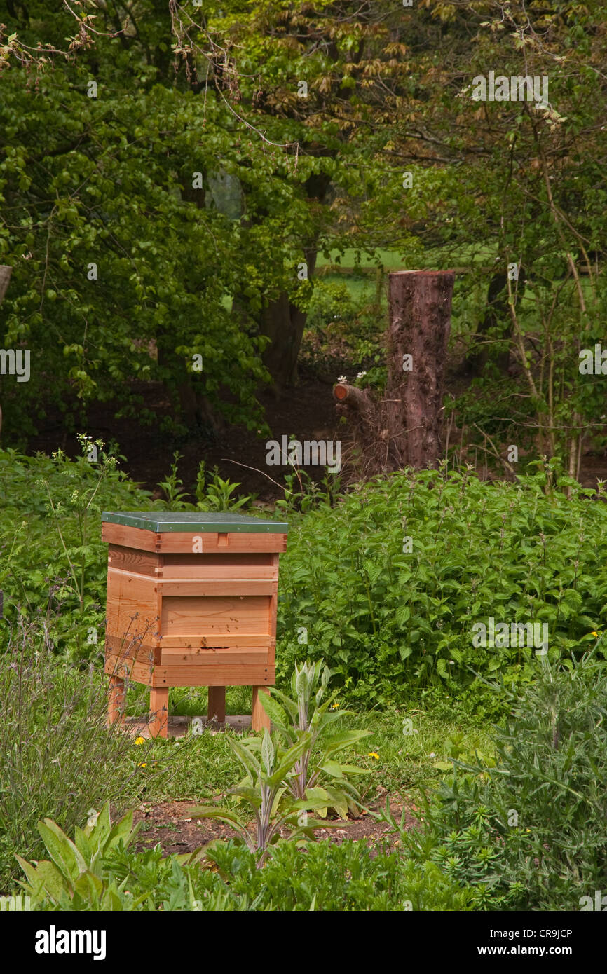 Bee hive in rural setting Stock Photo - Alamy