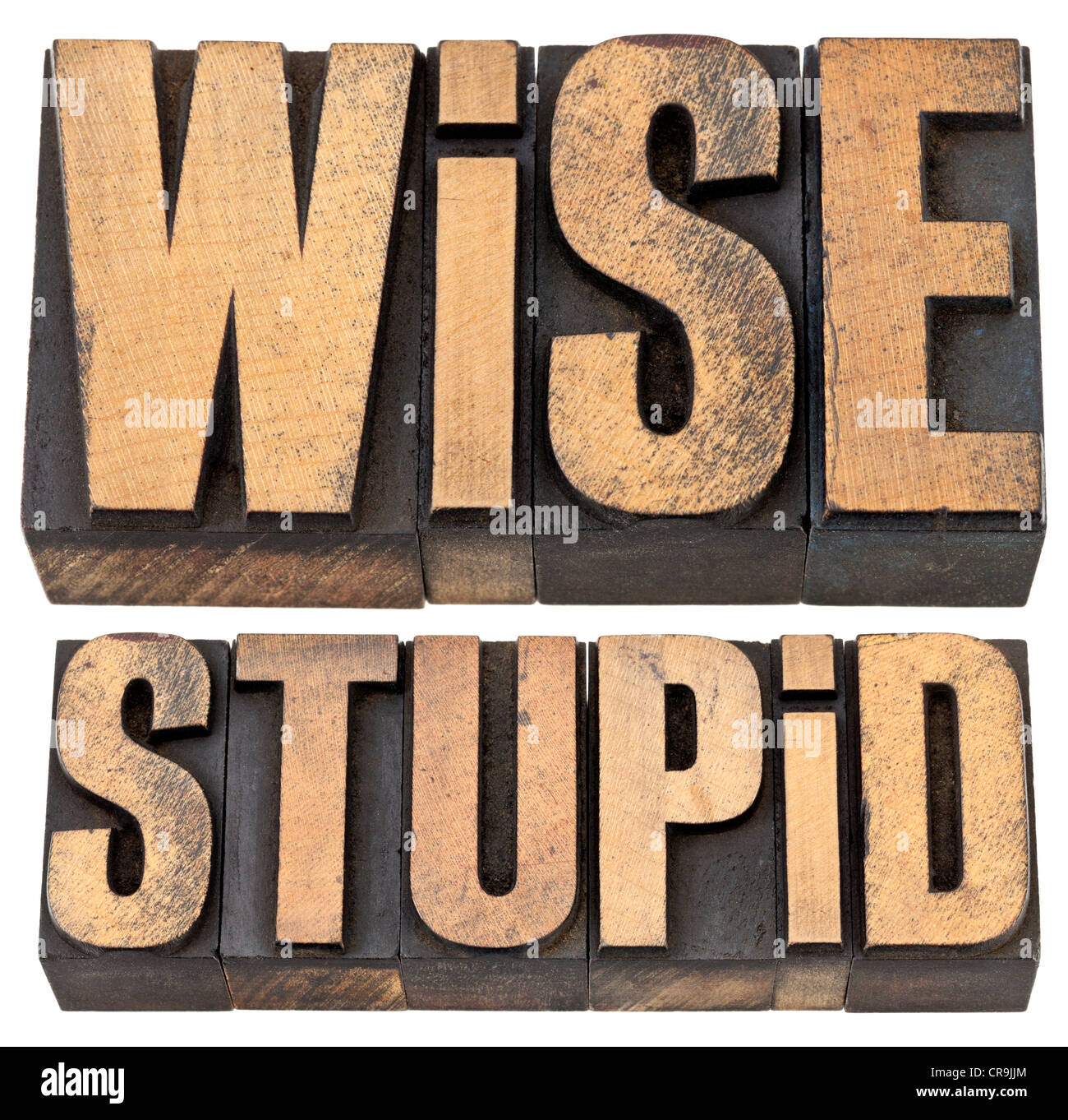 wise and stupid antonym - experience concept -- isolated text in ...