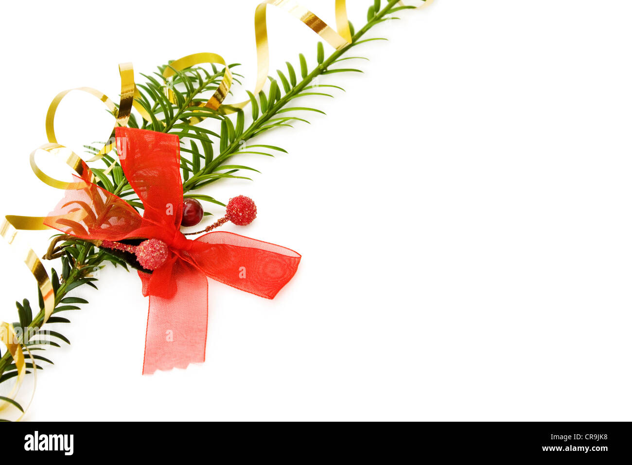 Christmas border with pine tree branch and festive red ribbons ...