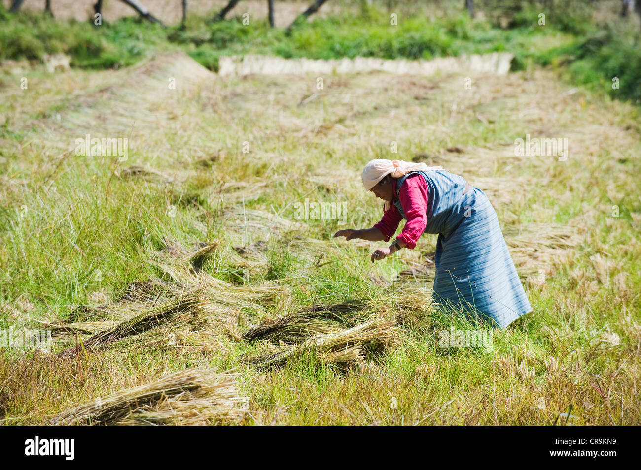 Bumthang, Chokor Valley, Bhutan, Asia Stock Photo - Alamy