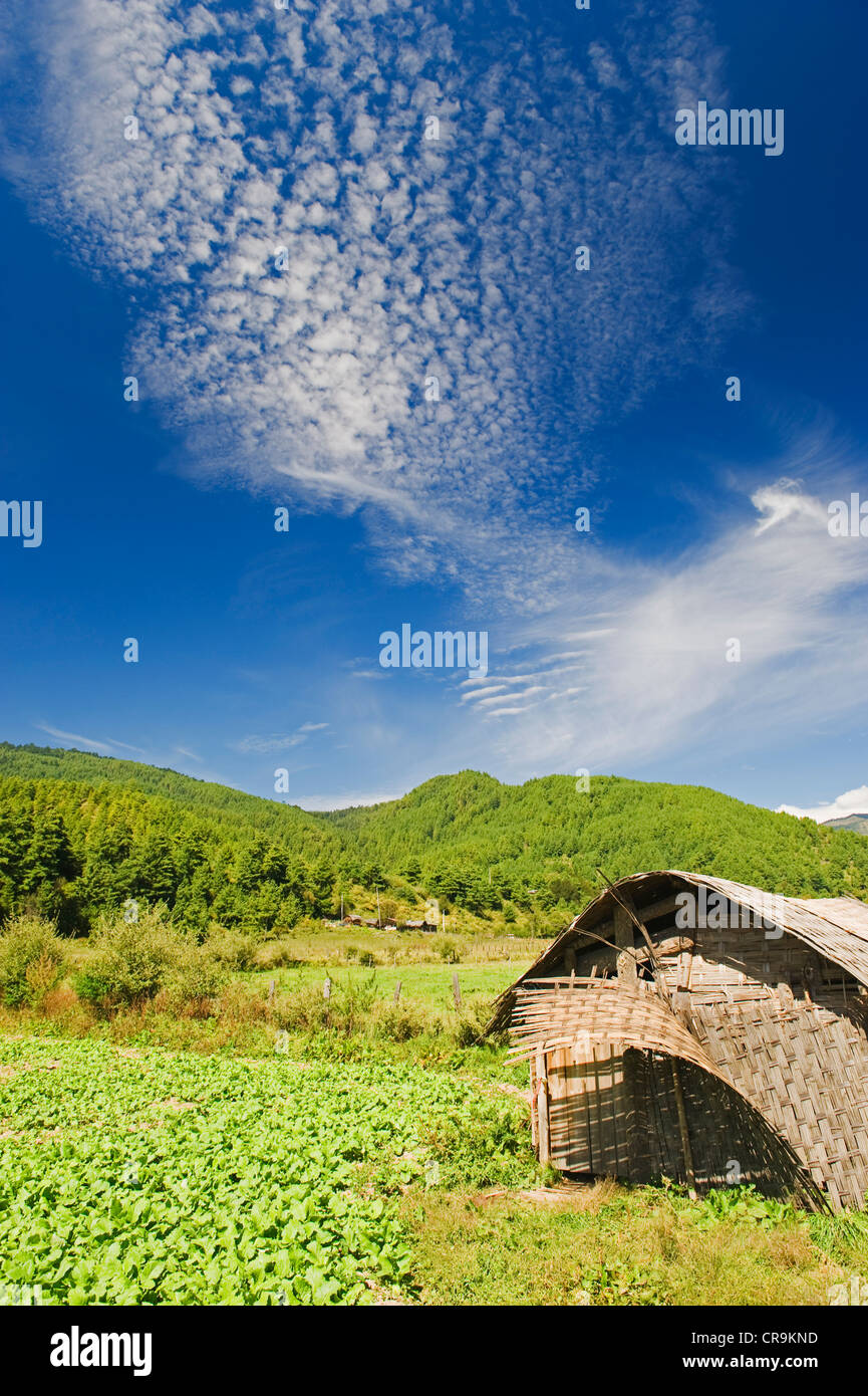 Bumthang valley bhutan hi-res stock photography and images - Alamy