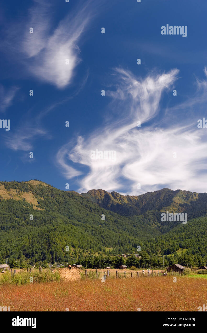 Bumthang, Chokor Valley, Bhutan, Asia Stock Photo - Alamy