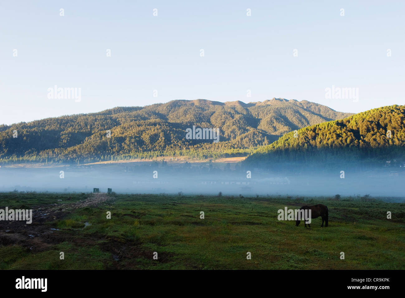 Phobjikha valley, Bhutan, Asia Stock Photo - Alamy