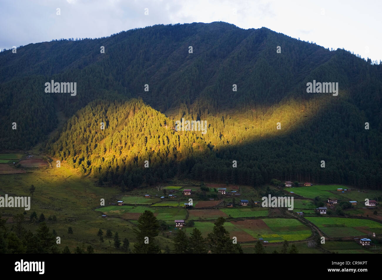 Phobjikha valley, Bhutan, Asia Stock Photo - Alamy