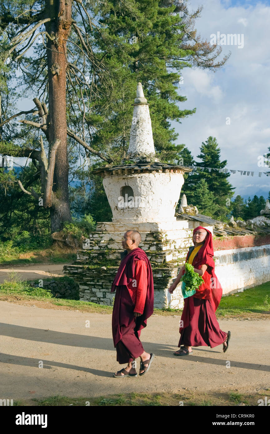 Gangtey Gompa Monastery, Phobjikha valley, Bhutan, Asia Stock Photo - Alamy